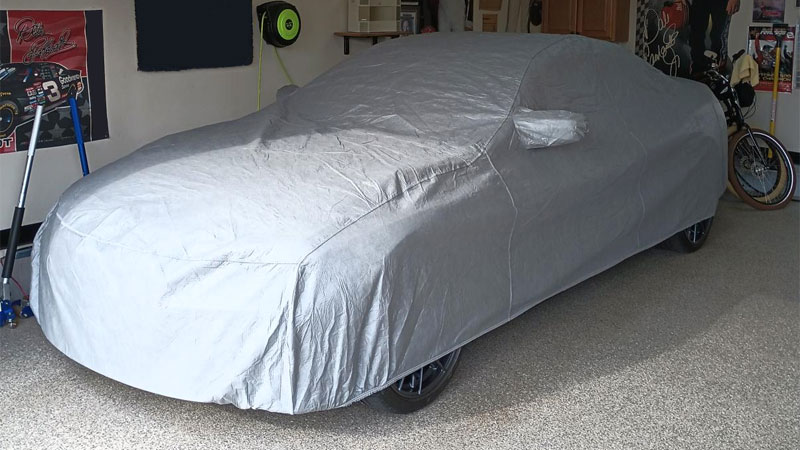 How to Keep Mice Out of Cars (What Actually Works) – RidMyCritters.com
